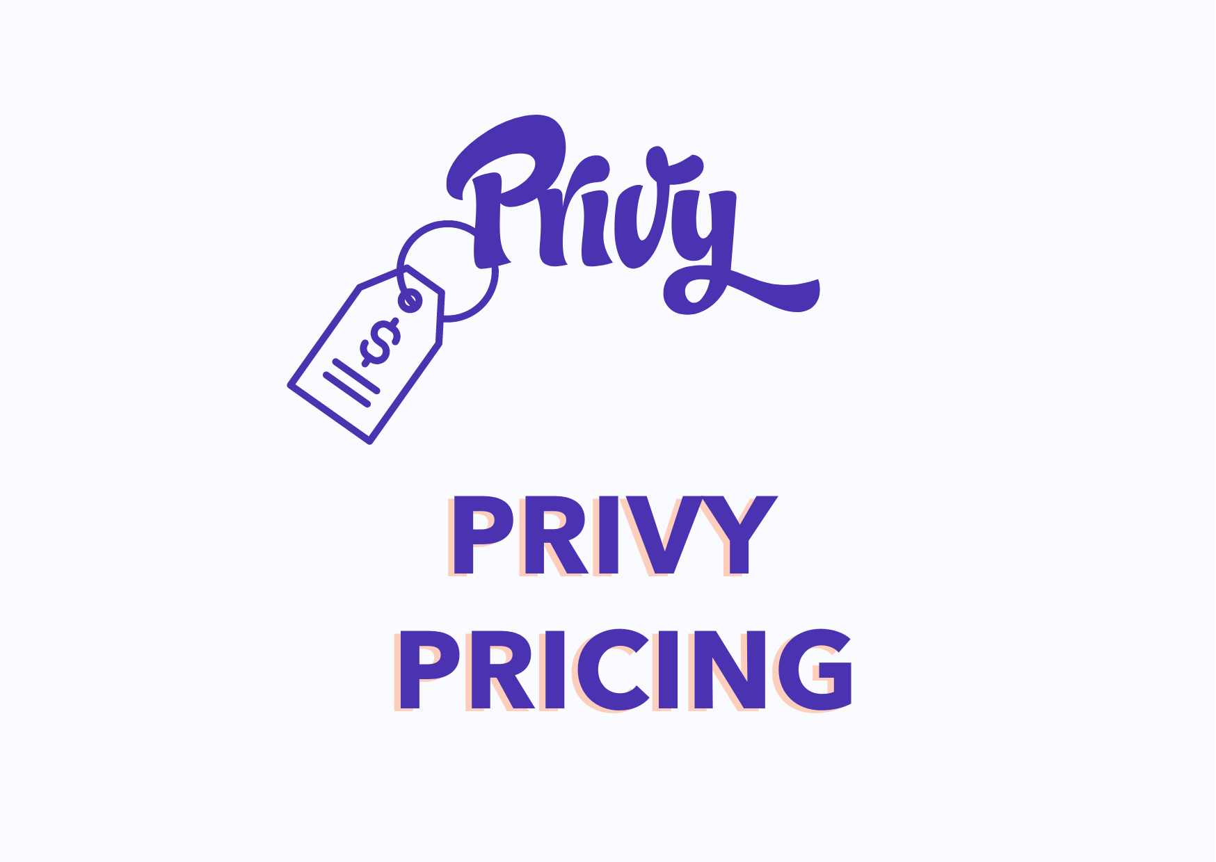 Privy Pricing: All Plans Examined with Features